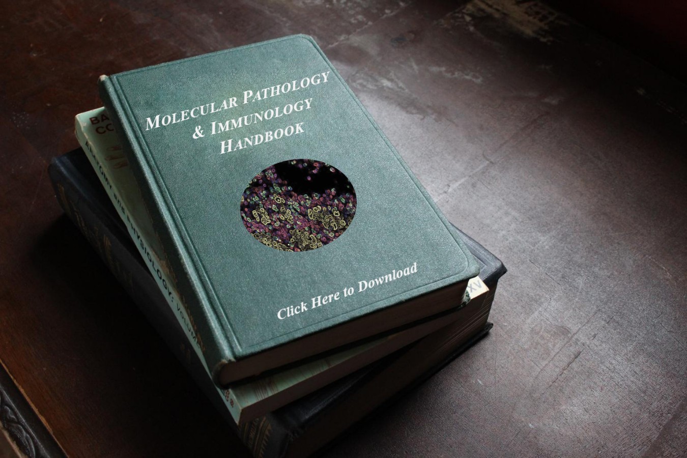 Molecular Pathology & Immunology PhD Program | Pathology, Microbiology And Immunology Education